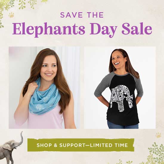 The Story of Ali @ The Animal Rescue Site